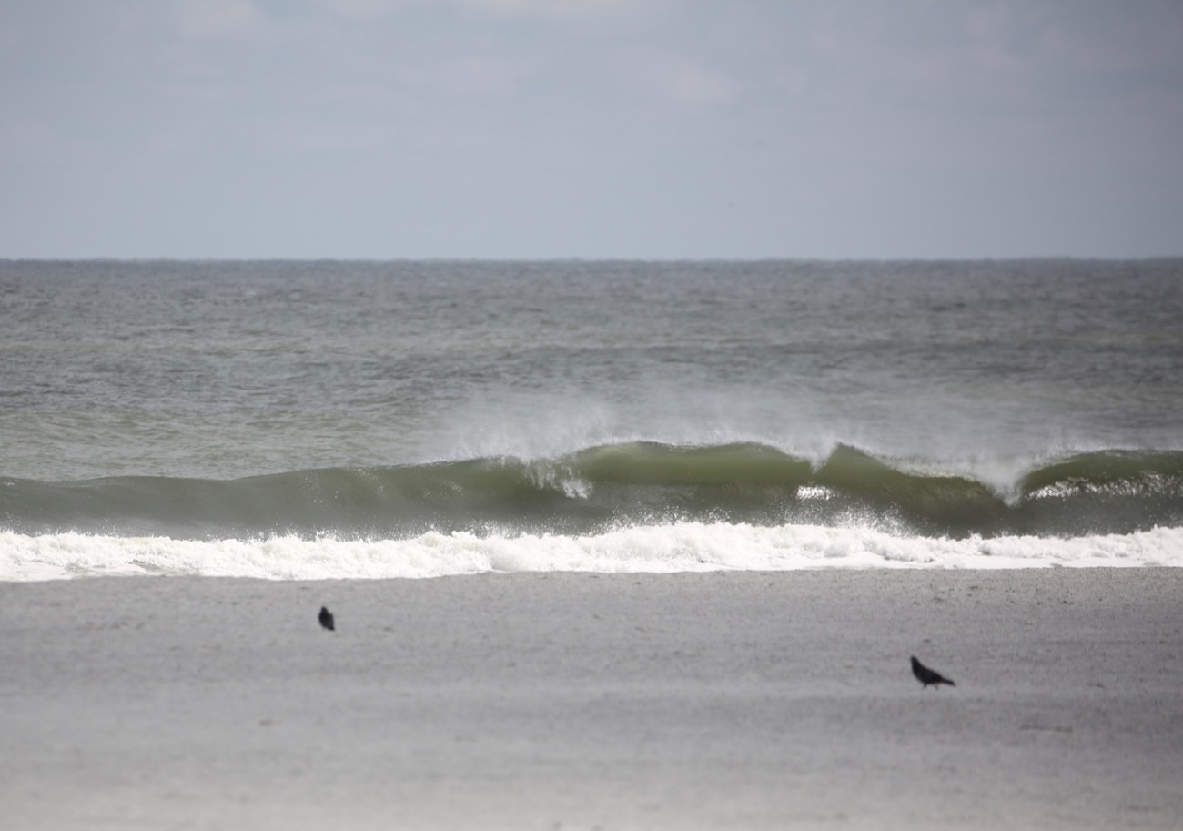 Thursday 2/20/25 Thursday - Surf Station Surf Report