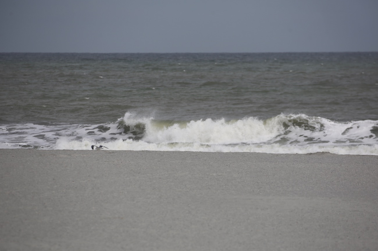Monday 3/03/25 Afternoon - Surf Station Surf Report