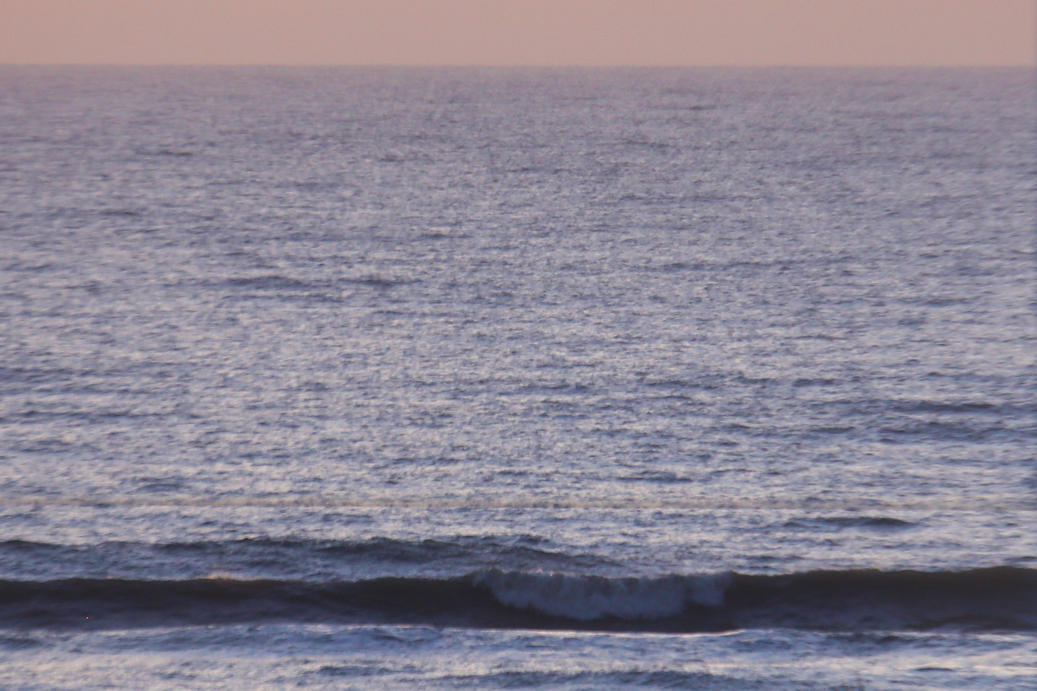 Sunday 4/6/25 Dawn Patrol - Surf Station Surf Report
