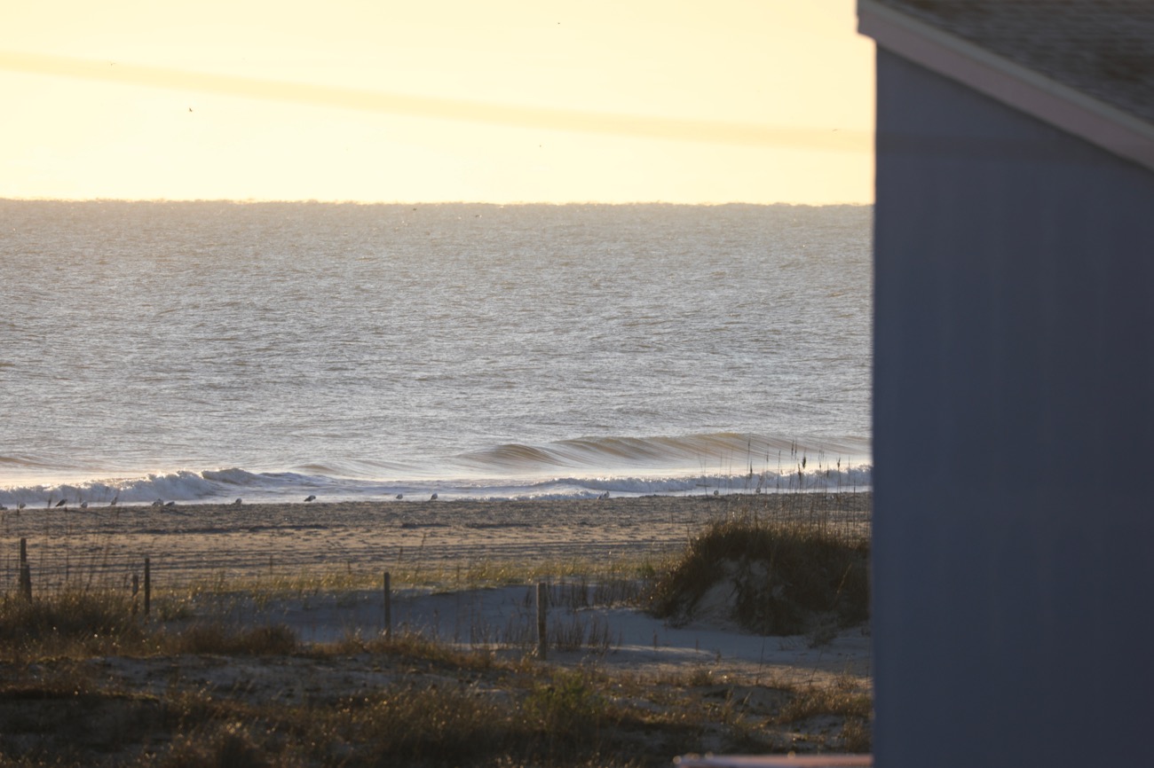 Monday, January 19th, Dawn Patrol - Surf Station Surf Report