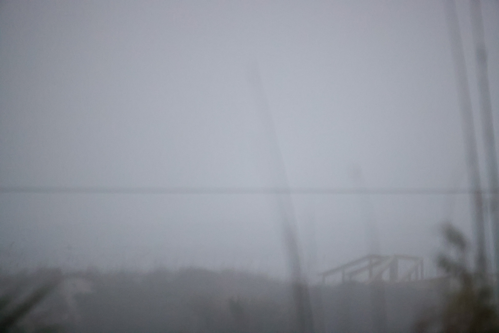 Sunday, January 25th, Mid Morning - Surf Station Surf Report