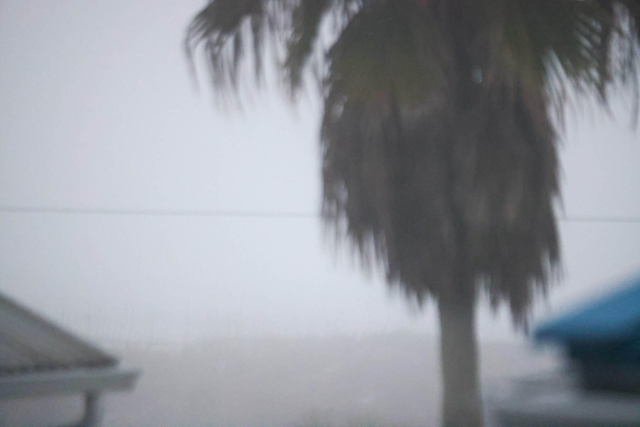 Sunday, January 25th, Mid Morning - Surf Station Surf Report